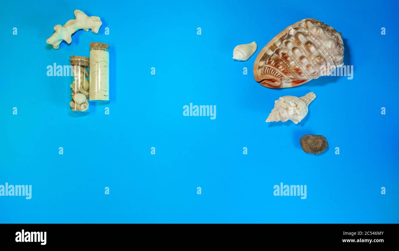 Horizontal top angle shot of various big and small seashells randomly ...