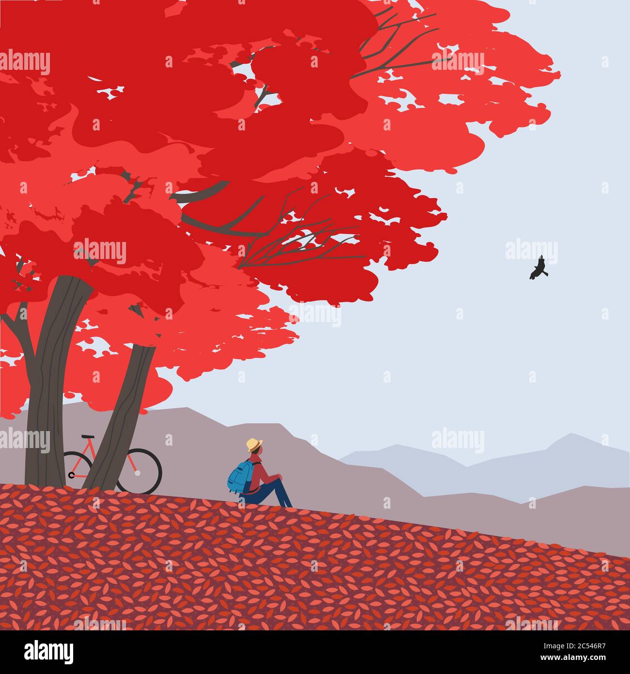 Top view red maple Stock Vector Images - Alamy