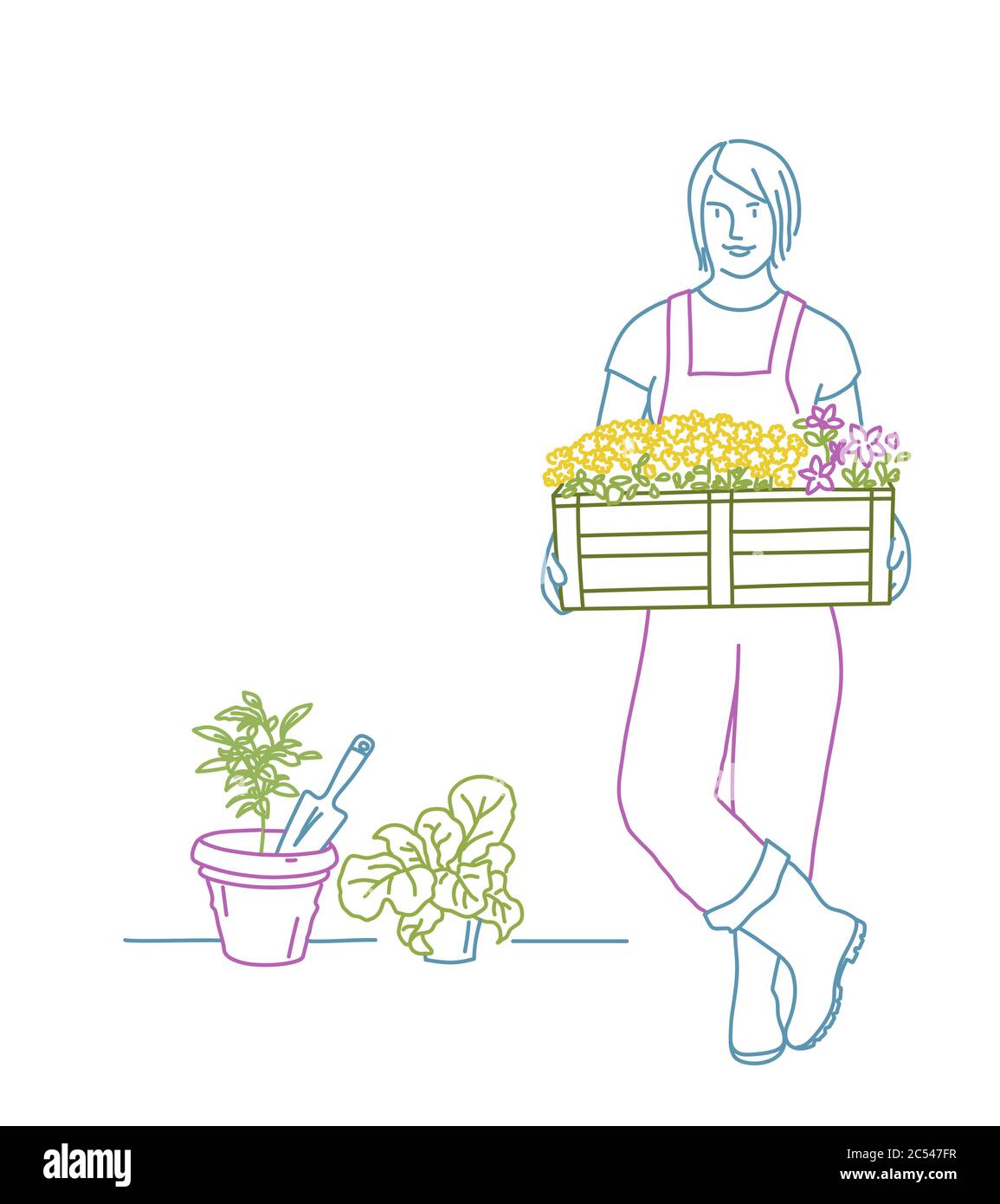 Gardener woman with a box of flowers in the garden. Colour line drawing ...