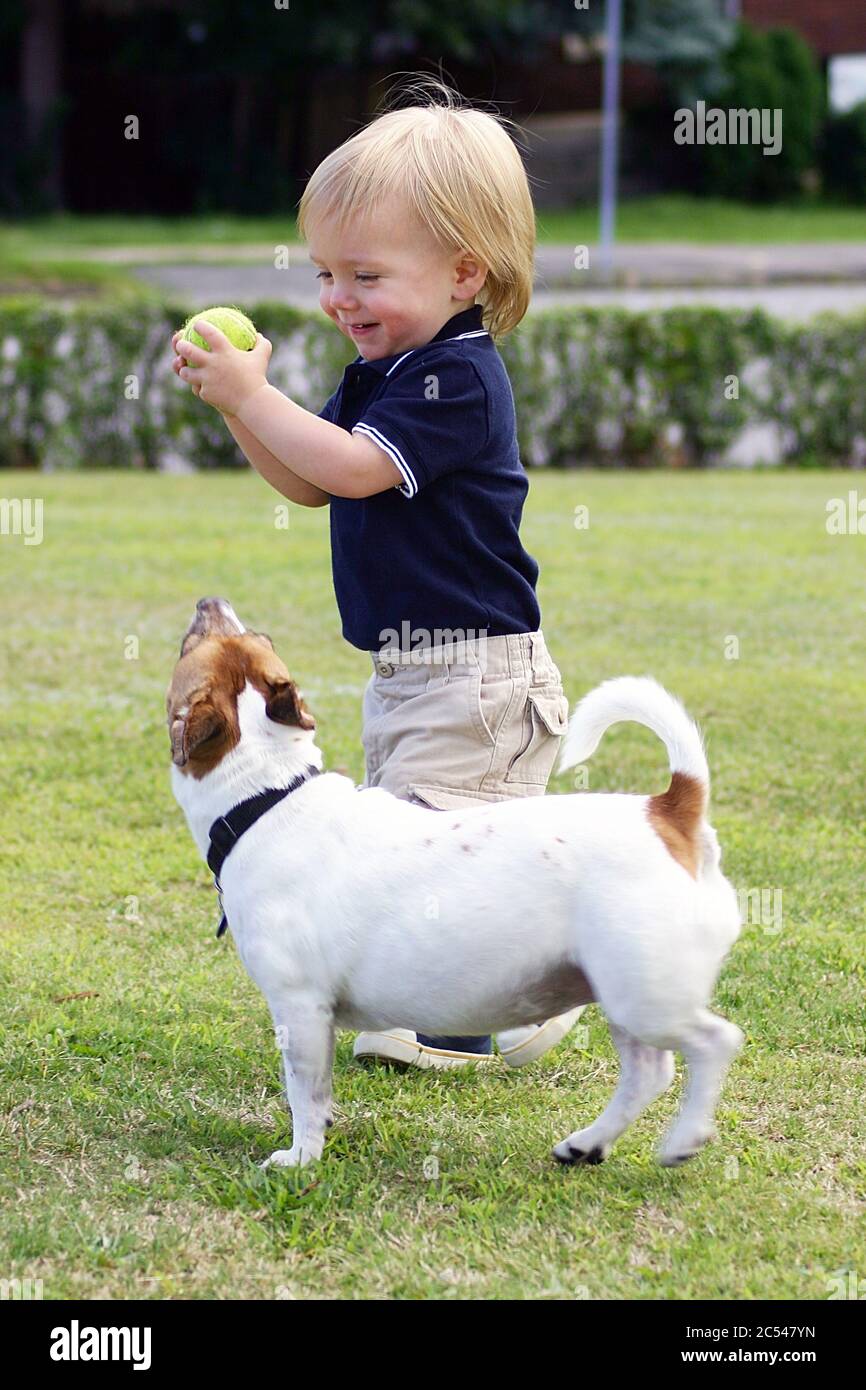 Little boy playing ball with his dog Stock Photo - Alamy