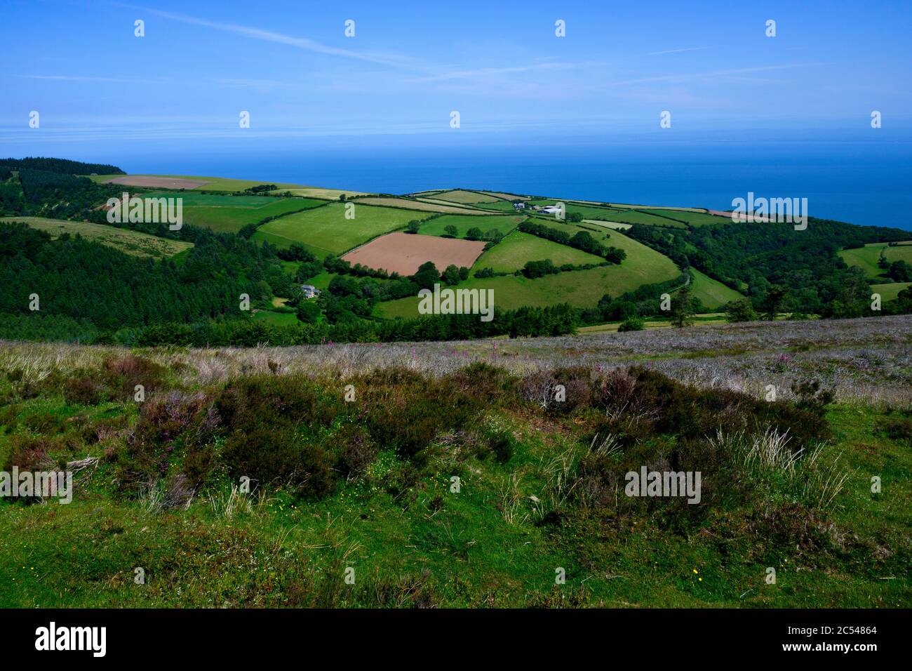 Green fields of devon hi-res stock photography and images - Alamy