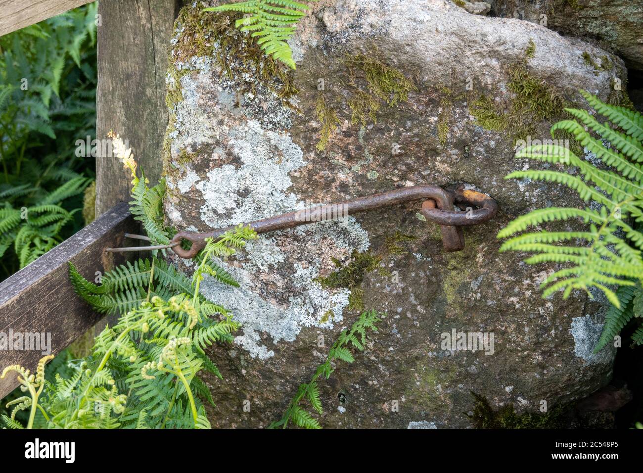Metal Gate catch on wooden farm gate and stone gatepost Stock Photo - Alamy