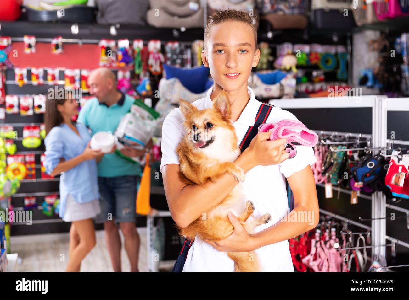 Retail clothing store interior with dog hi-res stock photography and ...