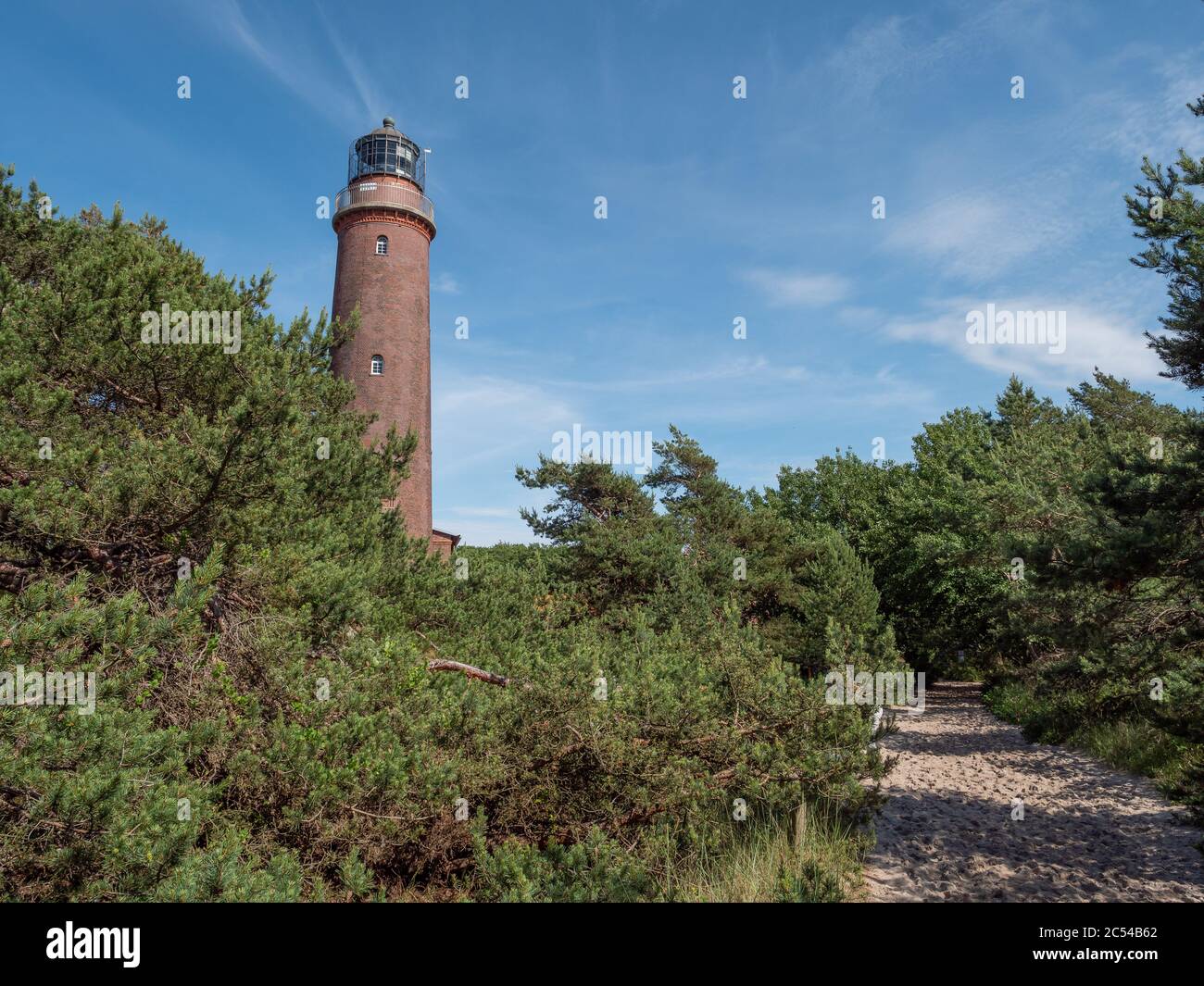 darss island in germany Stock Photo - Alamy