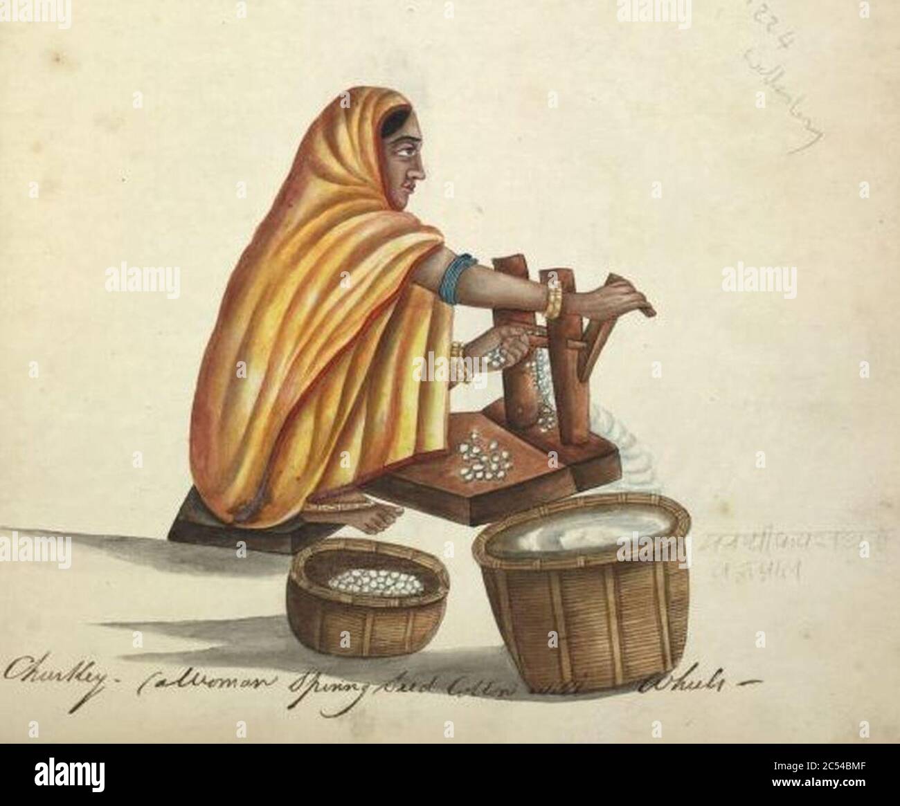 Indian woman gining cotton Stock Photo - Alamy