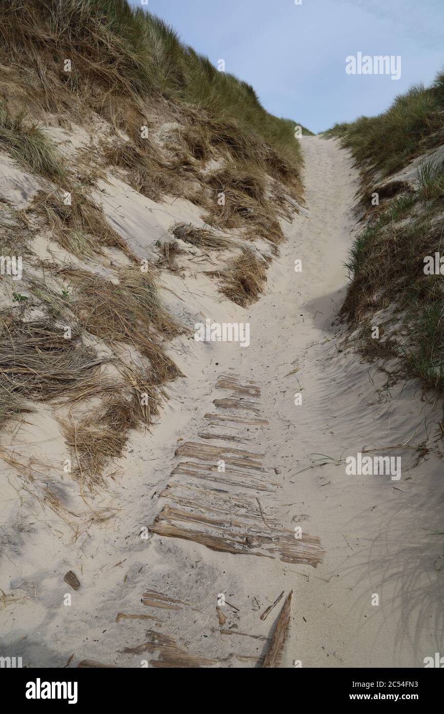 Vertical shot of sandy beach trail in Kaersgaard Strand, Denmark Stock ...