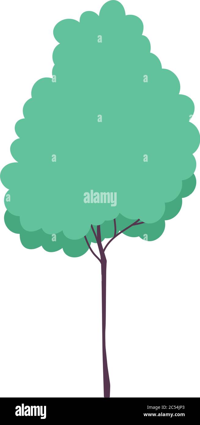 tree vegetation foliage forest isolated icon design white background ...