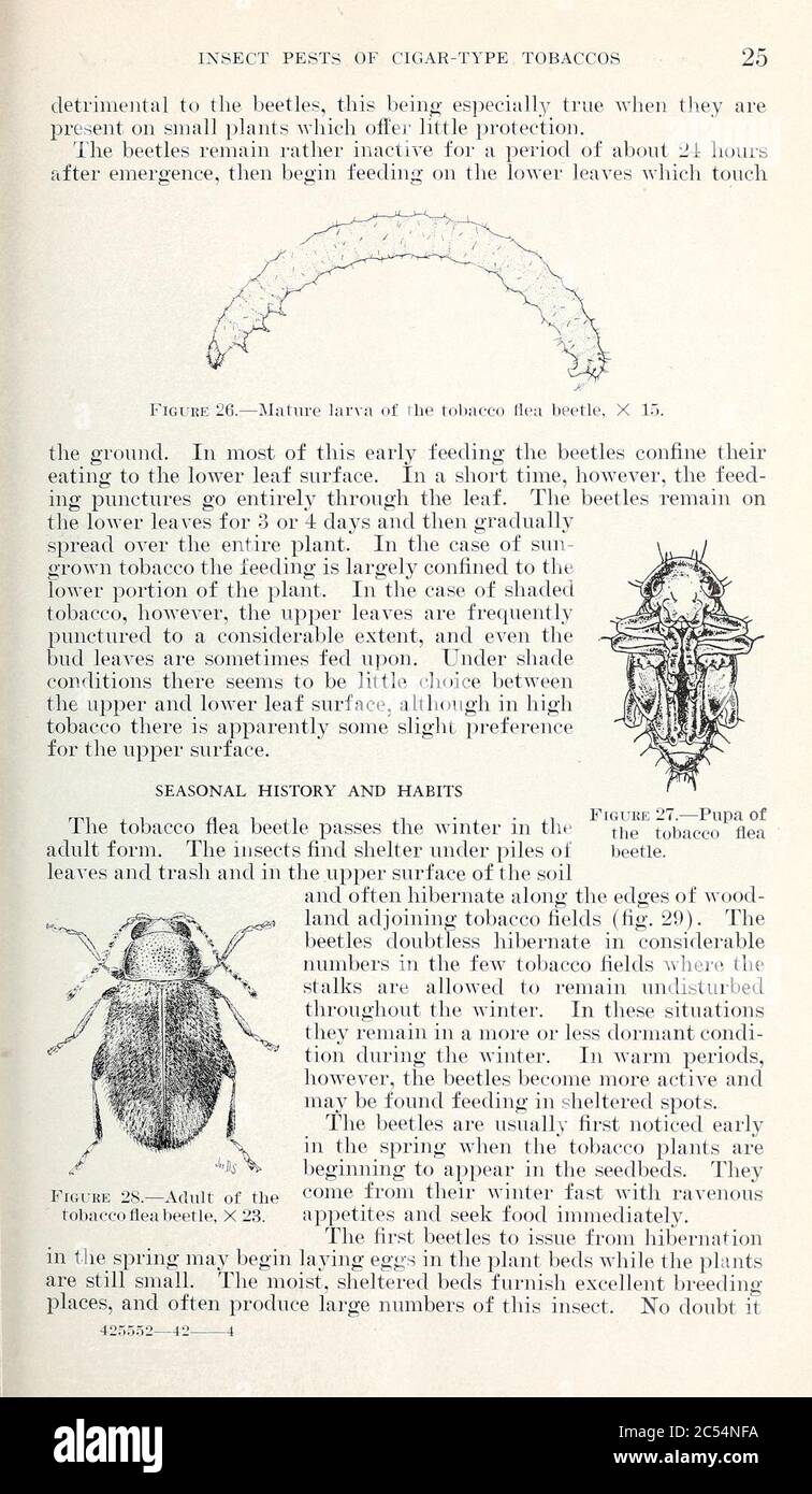 Insect pests of cigar-type tobaccos in the Southern districts (Page 25 ...