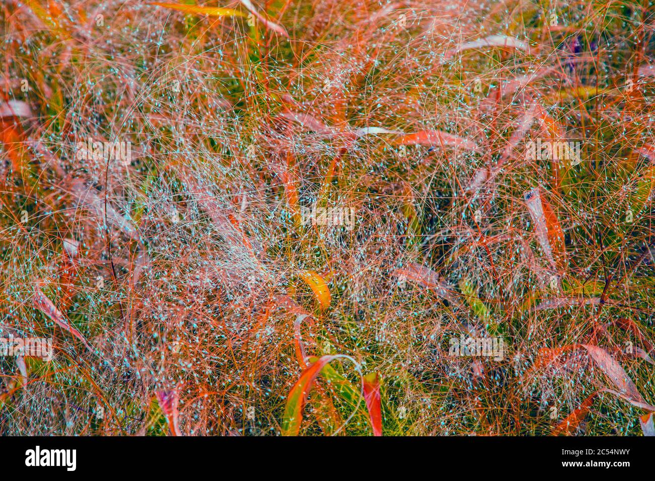 Colourful texture hi-res stock photography and images - Alamy