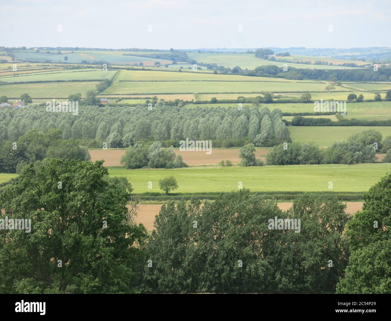 A view of rolling hills and woodland of the Welland Valley, an English ...