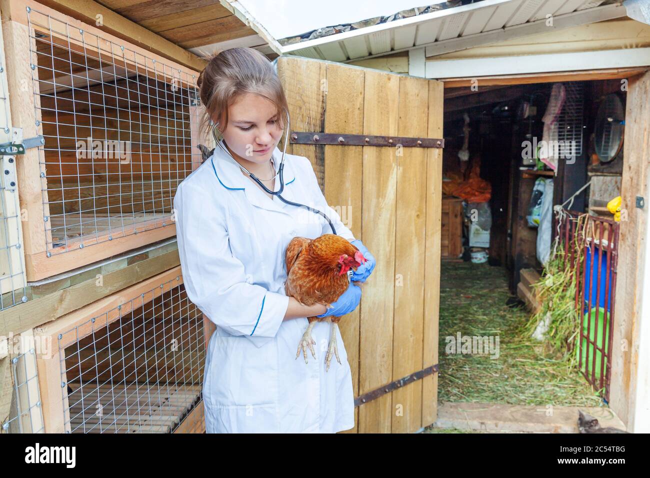 Happy young veterinarian woman with stethoscope holding and examining ...