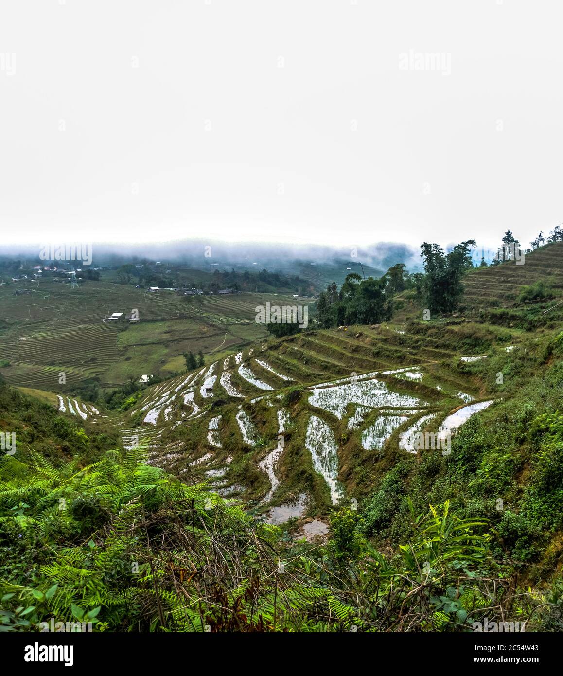 Japan rice field water management hi-res stock photography and images ...