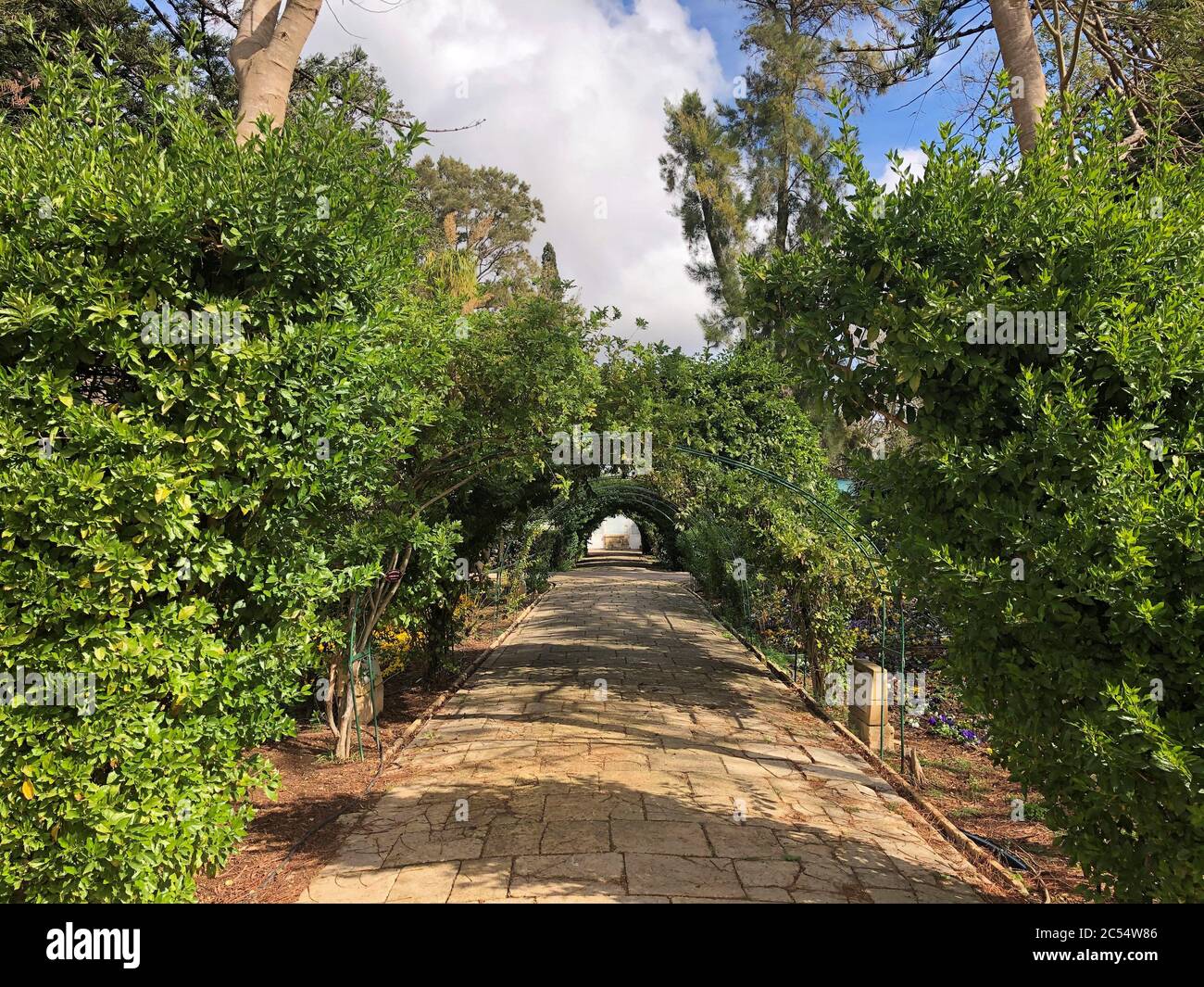 Botanical garden in Malta Stock Photo - Alamy