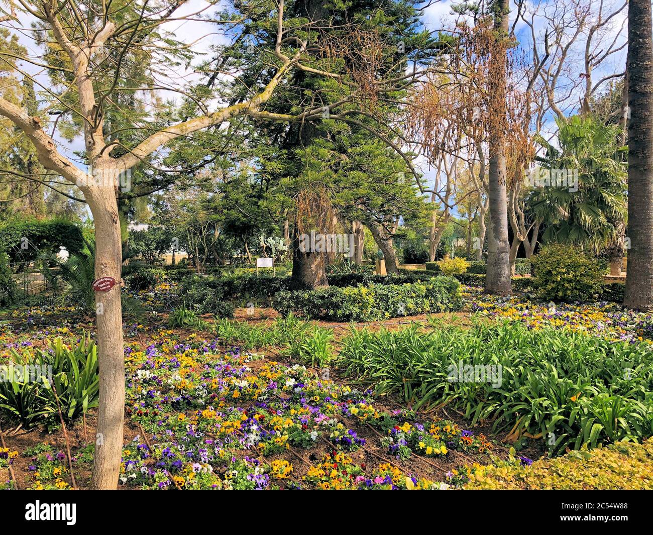 Botanical garden in Malta Stock Photo - Alamy