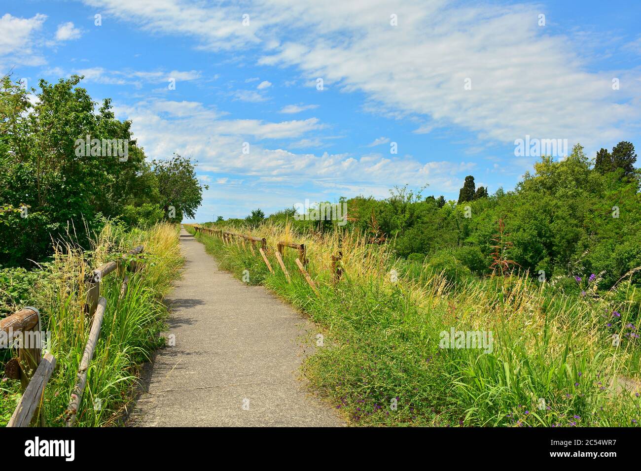 A cycle lane in the wetlands of Isola Della Cona in Friuli-Venezia ...