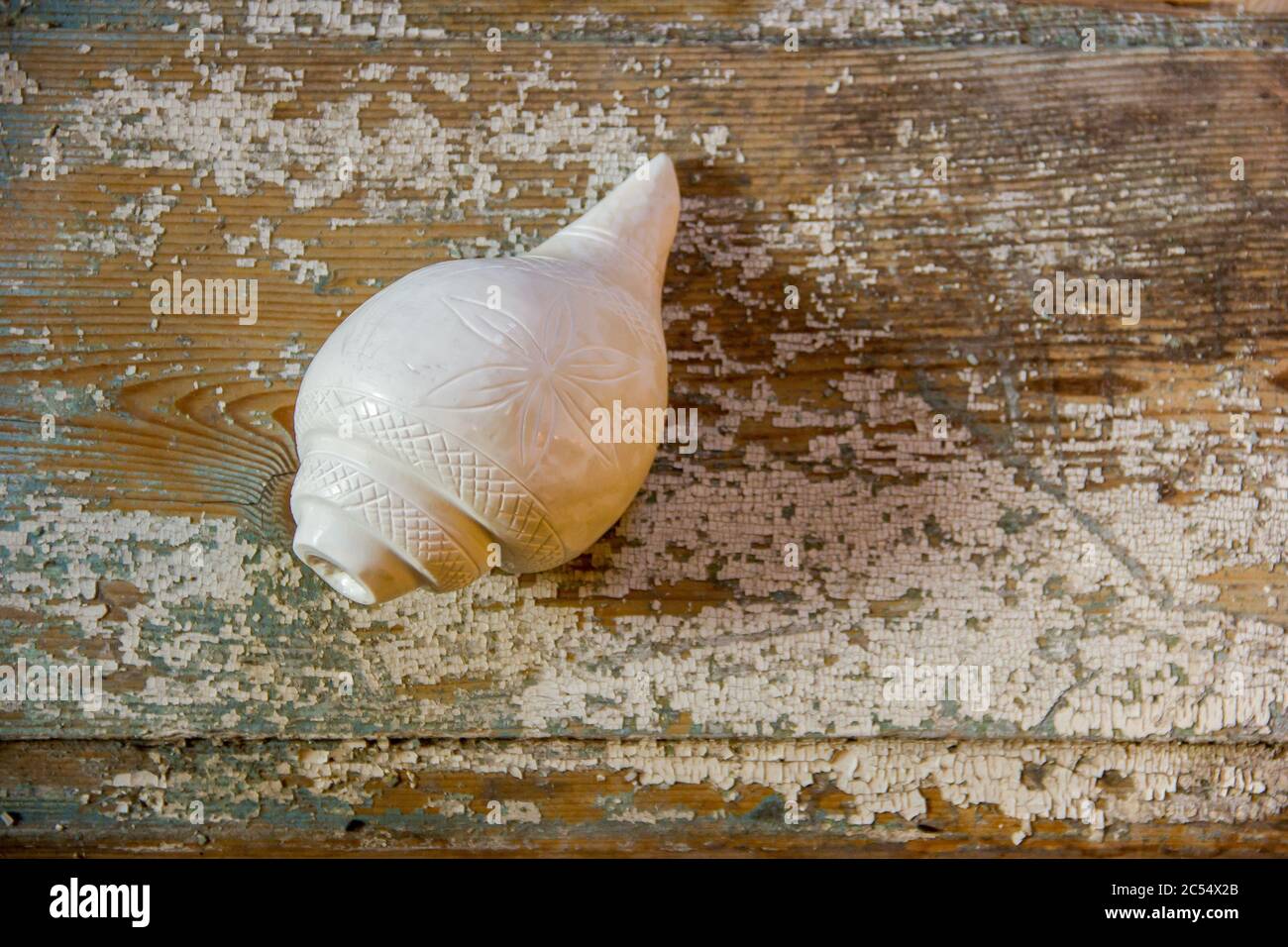 High angle closeup shot of a white seashell on a wooden surface Stock ...