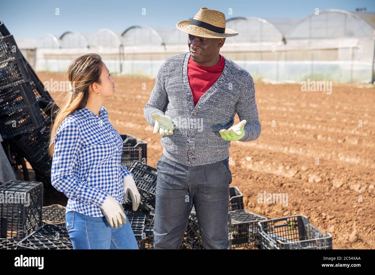 Two positive farmers break in between work on the field Stock Photo - Alamy
