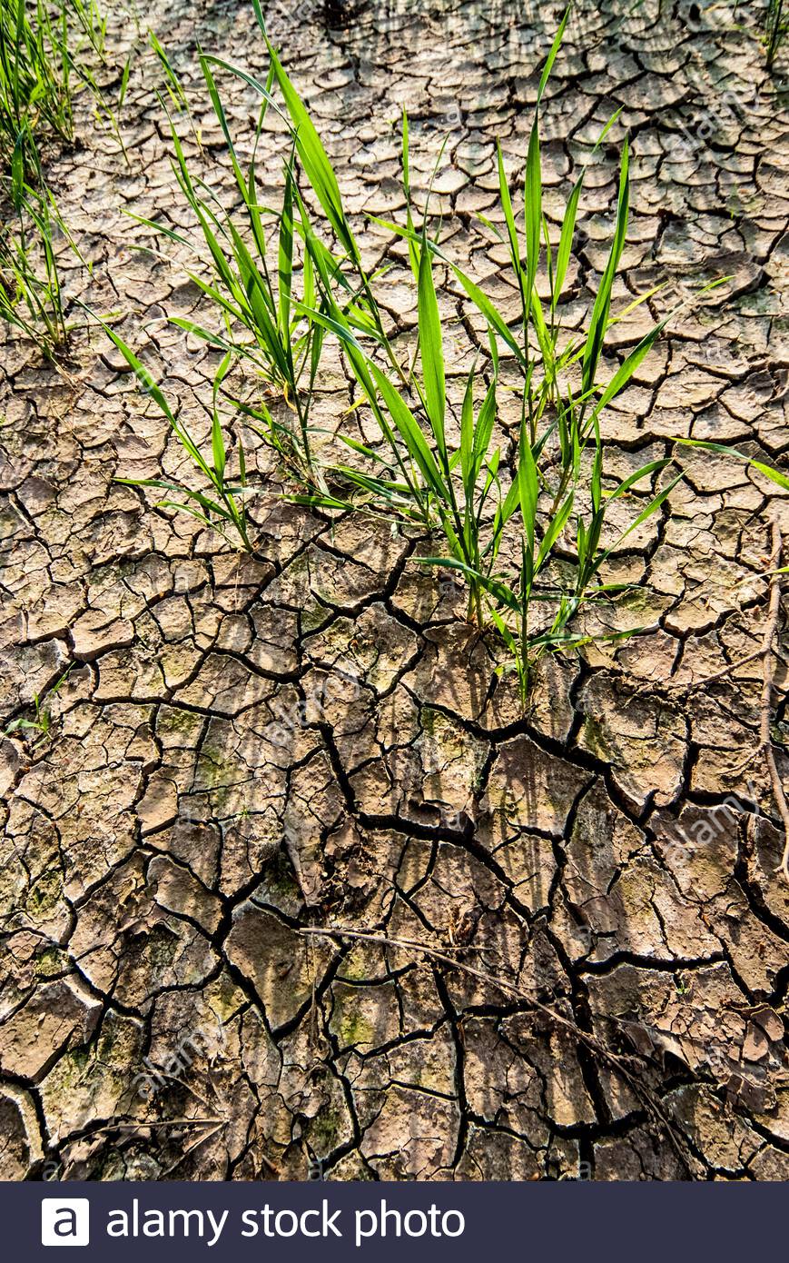 Difficult Climate High Resolution Stock Photography and Images - Alamy