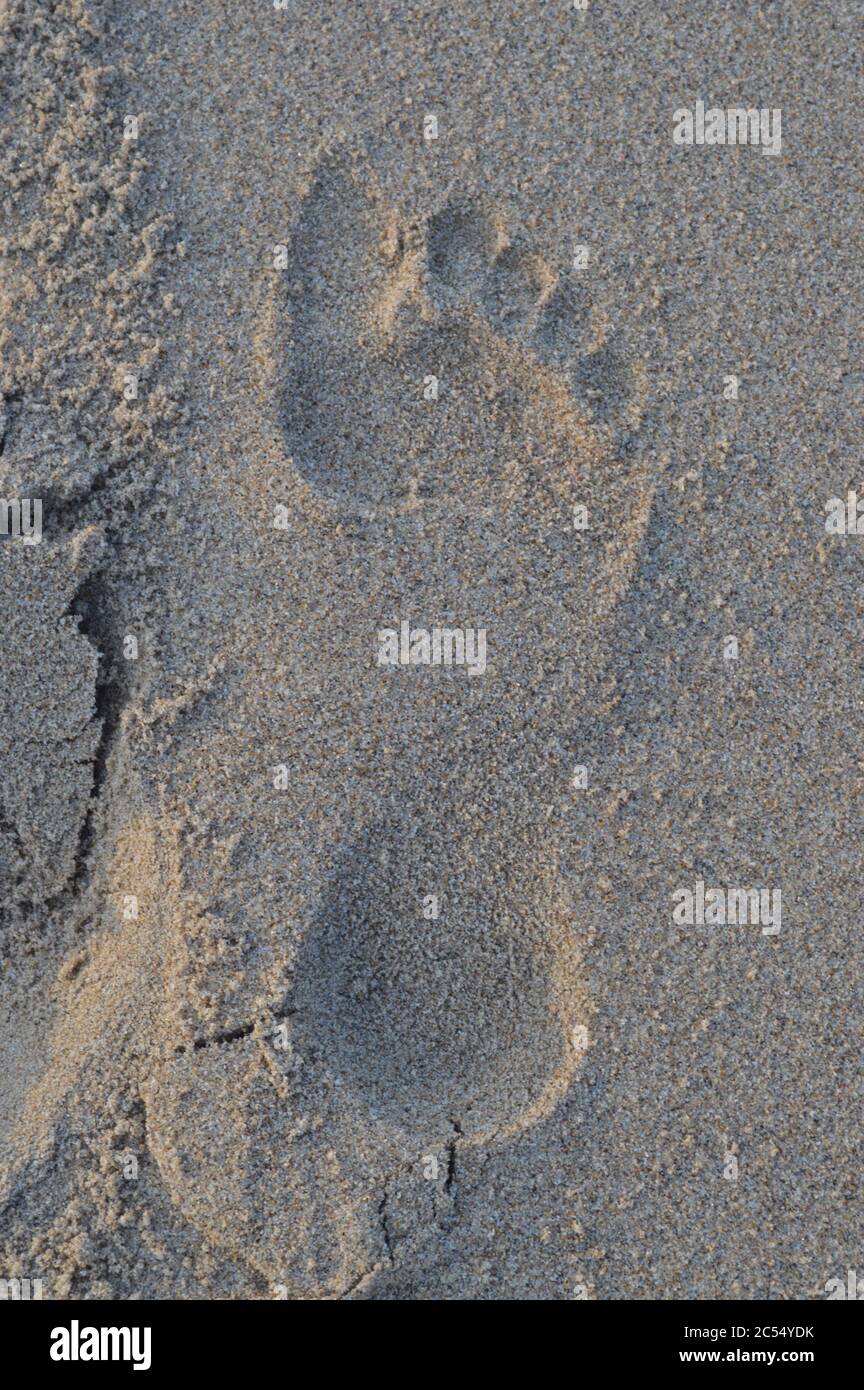 Foot print in sand Stock Photo - Alamy