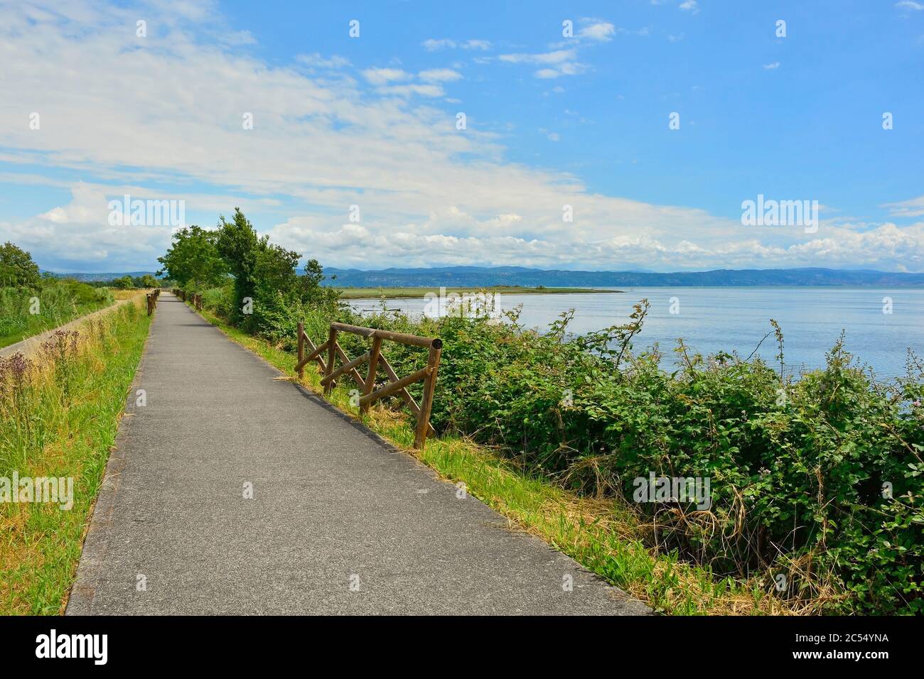A cycle lane in the wetlands of Isola Della Cona in Friuli-Venezia ...