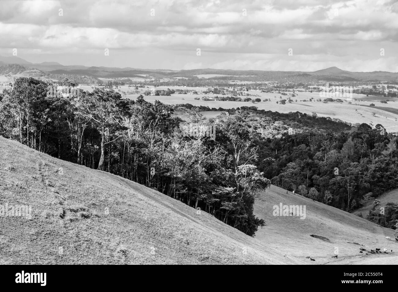 Queensland countryside landscape in the dry season Stock Photo - Alamy