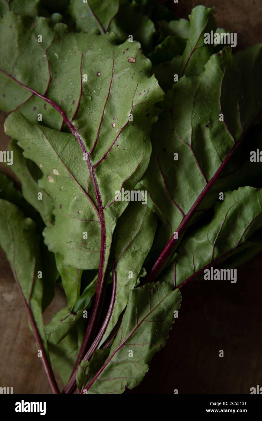 Beetroot beta vulgaris subsp vulgaris hi-res stock photography and ...