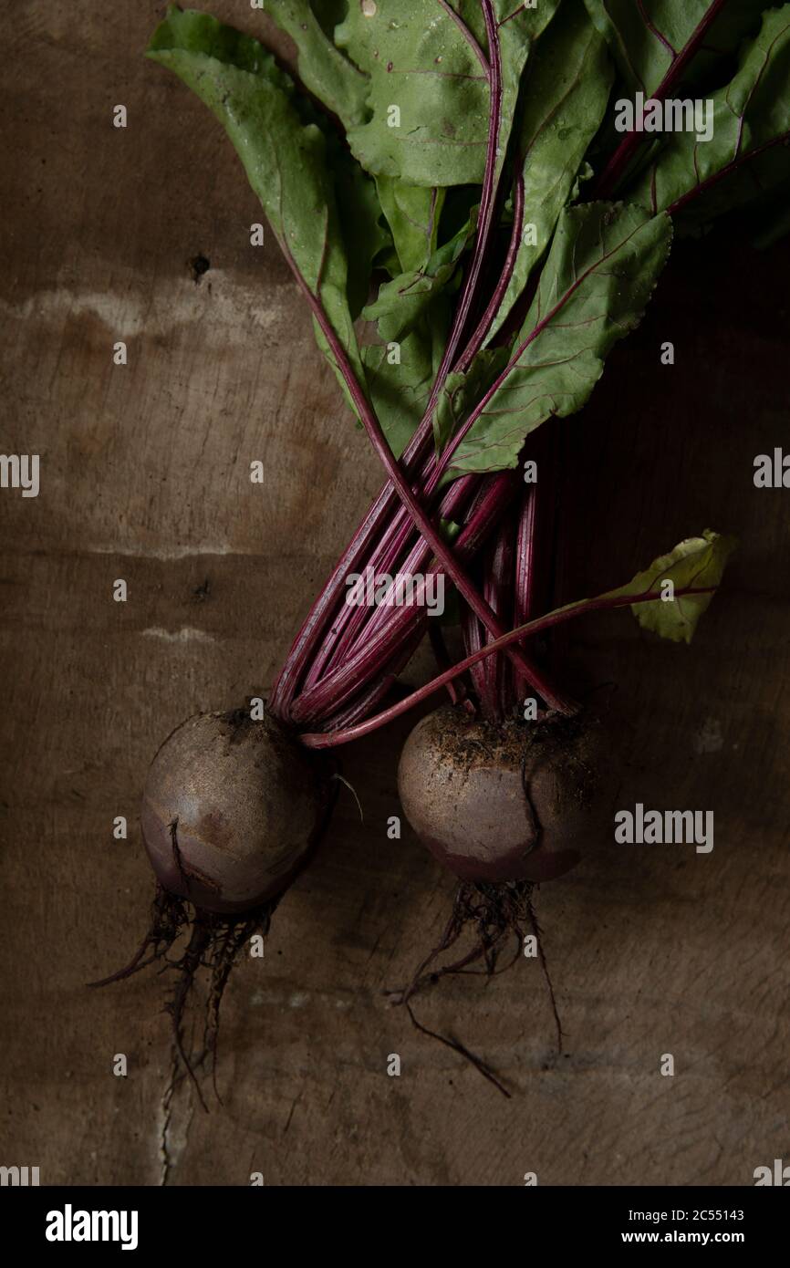 Beetroot beta vulgaris subsp vulgaris hi-res stock photography and ...