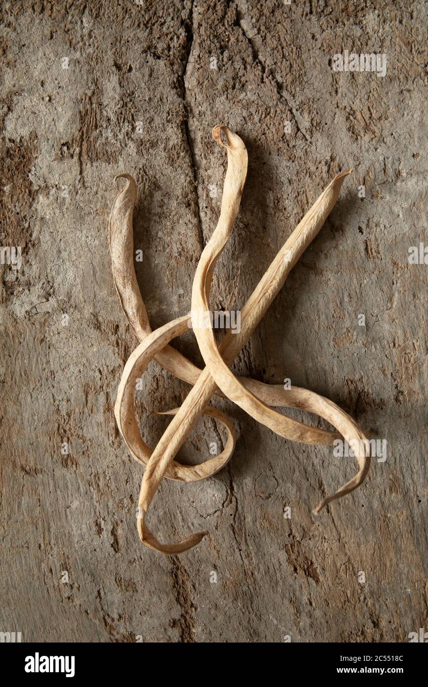 Runner Beans Seed Pod High Resolution Stock Photography and Images - Alamy