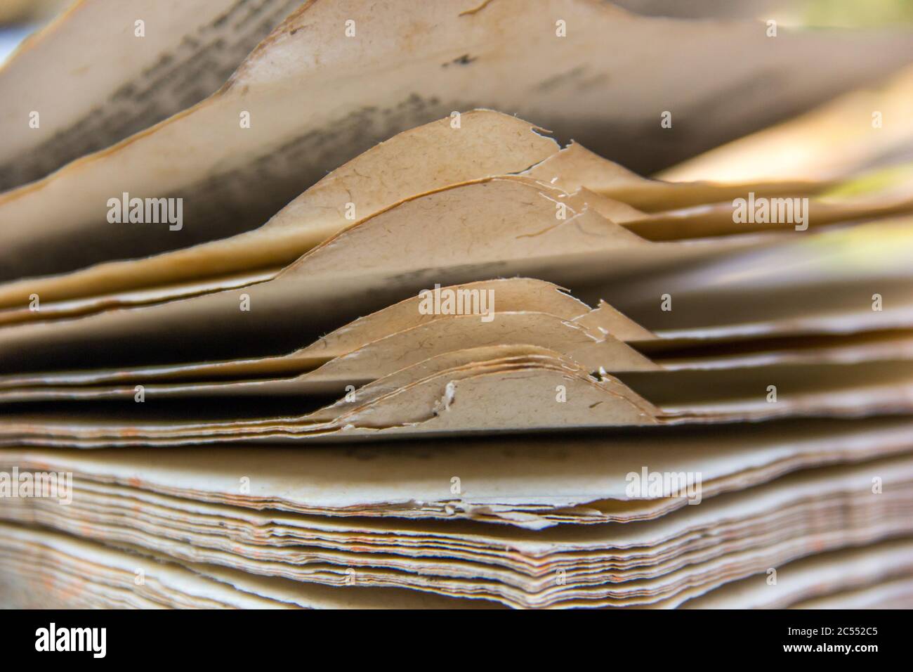 Closeup shot of the pages of the Holy Bible Stock Photo - Alamy