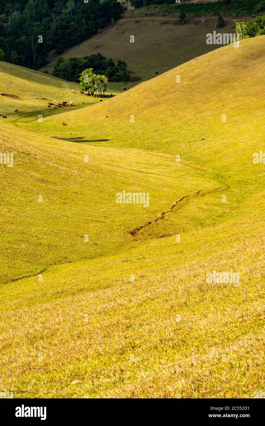 Queensland countryside landscape in the dry season Stock Photo - Alamy
