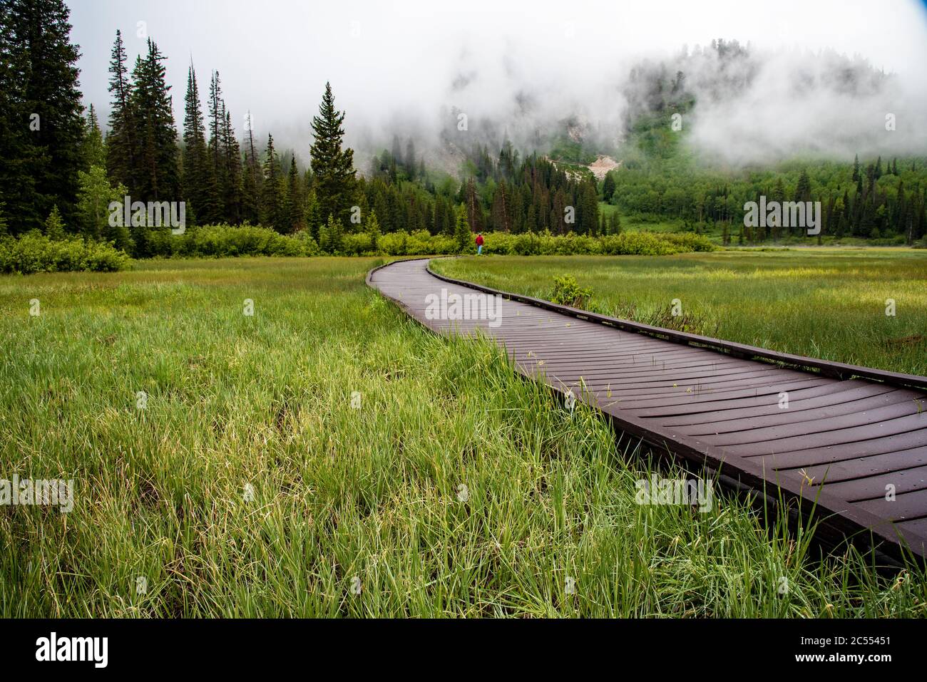 Alpine meadows ski resort hi-res stock photography and images - Alamy