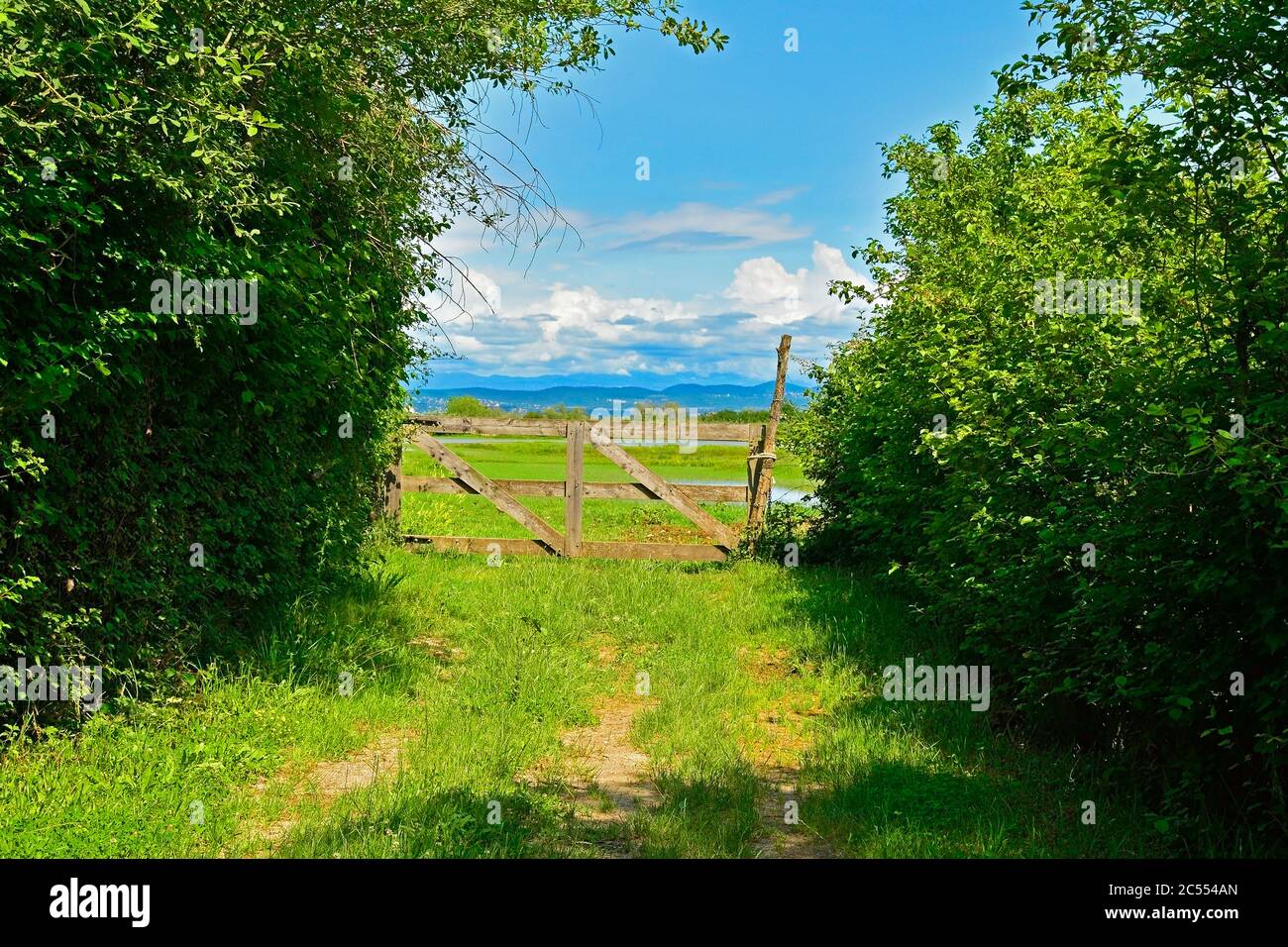 A rustic wooden gate in the wetlands of Isola Della Cona in Friuli ...