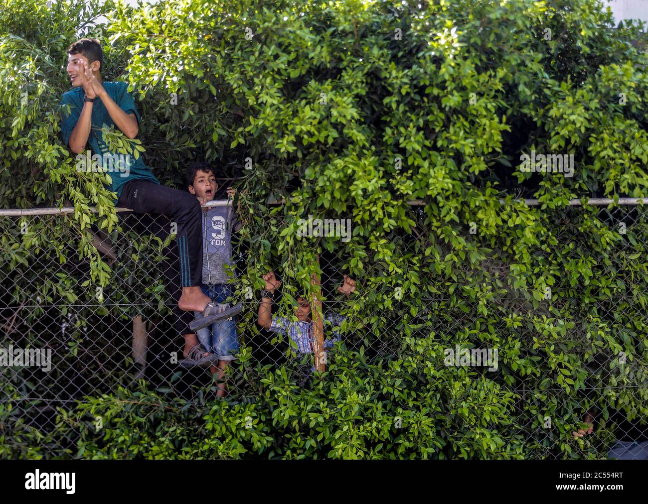 Gaza City, The Gaza Strip, Palestine. 30th June, 2020. Fans of Shabab ...