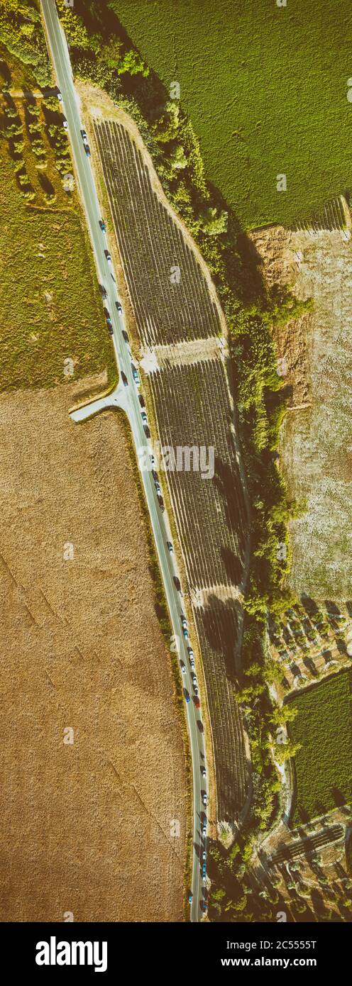 Lavender meadows in open countryside. Amazing aerial view in summer ...