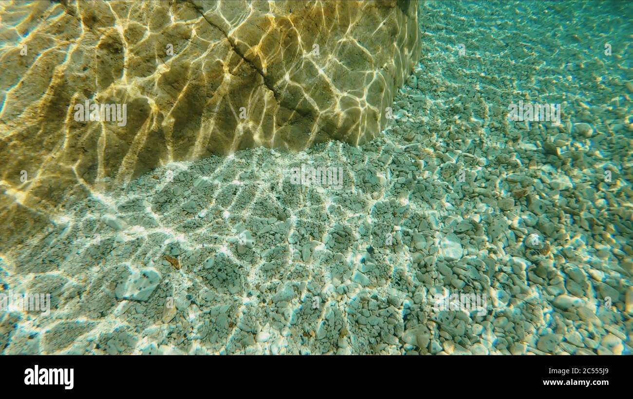 Slow motion of underwater marine life Stock Photo - Alamy
