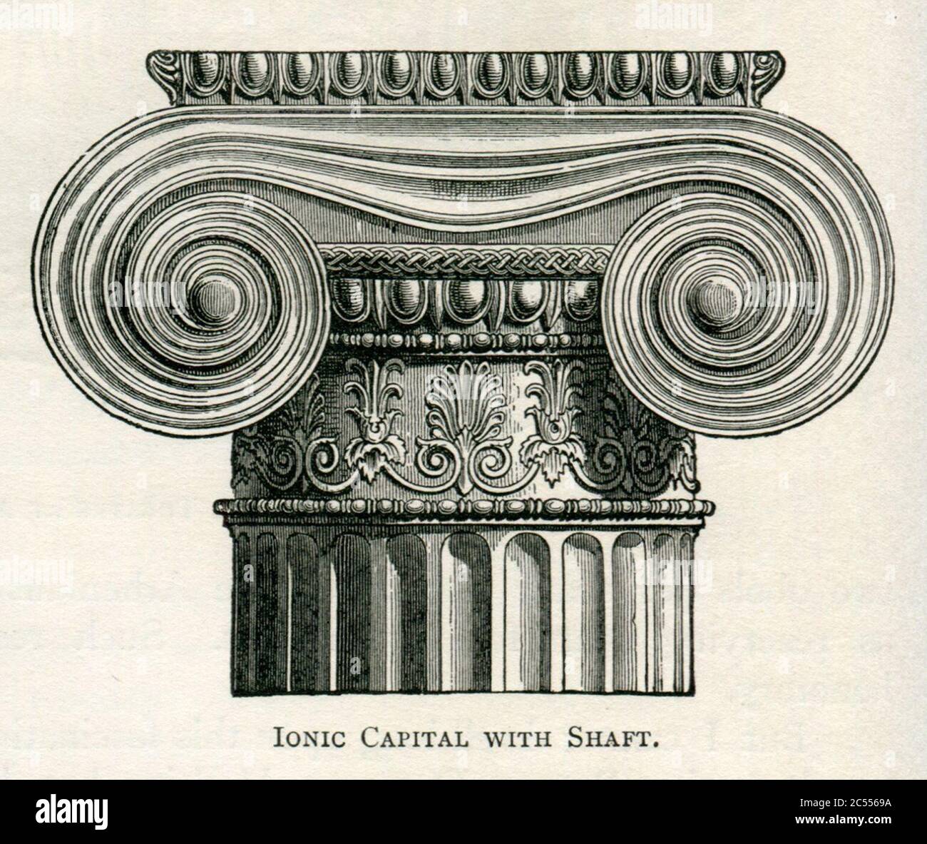 Ionic capital with shaft - Mahaffy John Pentland - 1890 Stock Photo - Alamy