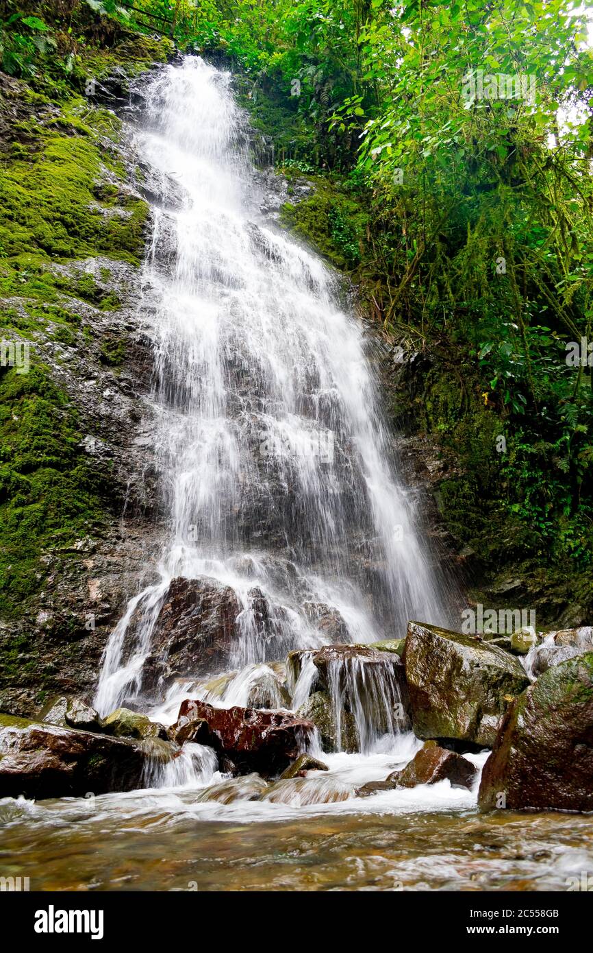 Cascada cola de caballo hi-res stock photography and images - Alamy