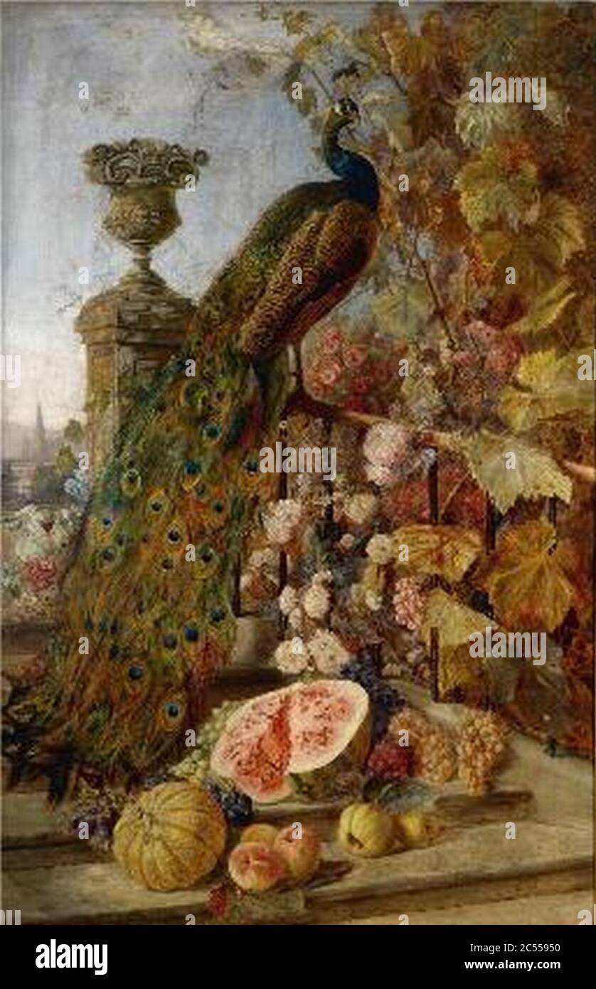 Komlosy hi-res stock photography and images - Alamy