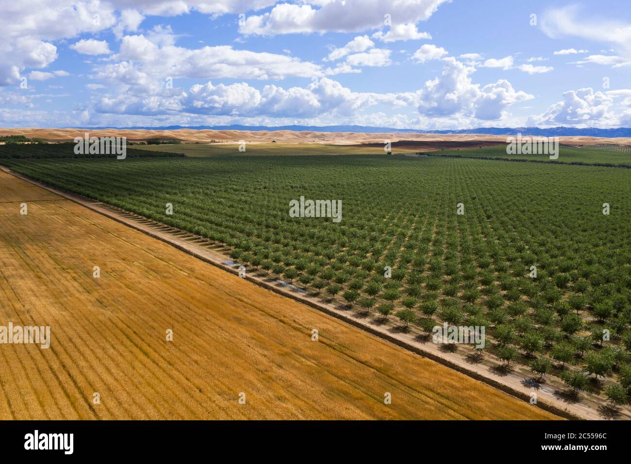 Abstract aerail views of fields and Almond orchards in Yolo County ...