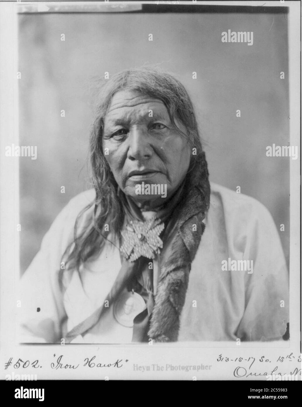 Iron Hawk, head-and-shoulders portrait, facing left Stock Photo - Alamy