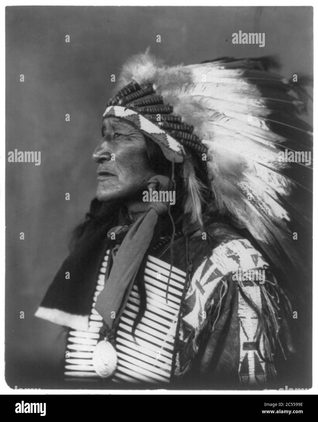 Iron shield hi-res stock photography and images - Alamy