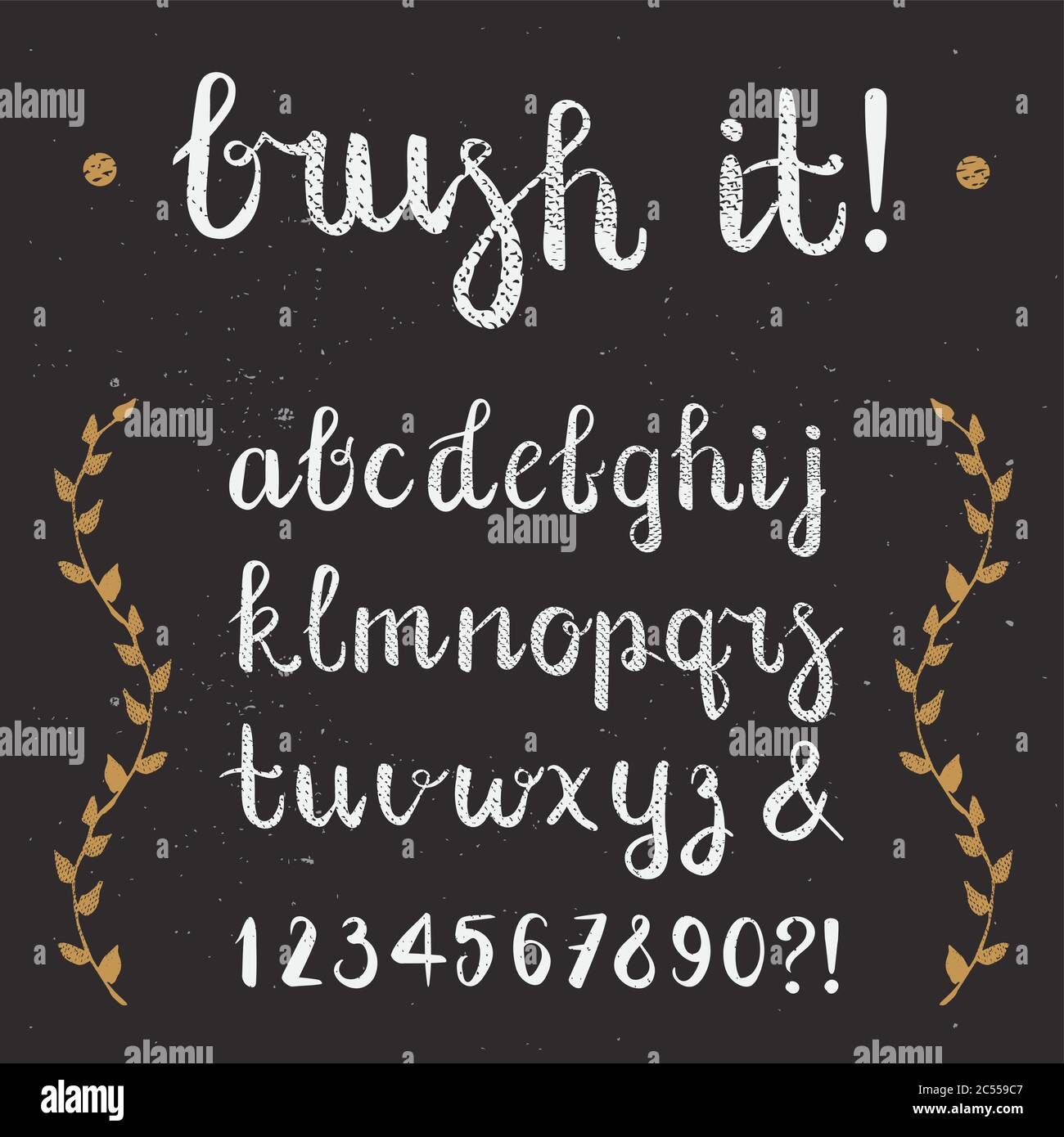 Vector Hand Drawn Script Alphabet. Letters Written with a Brush Pen with Ink Stock Vector Image ...