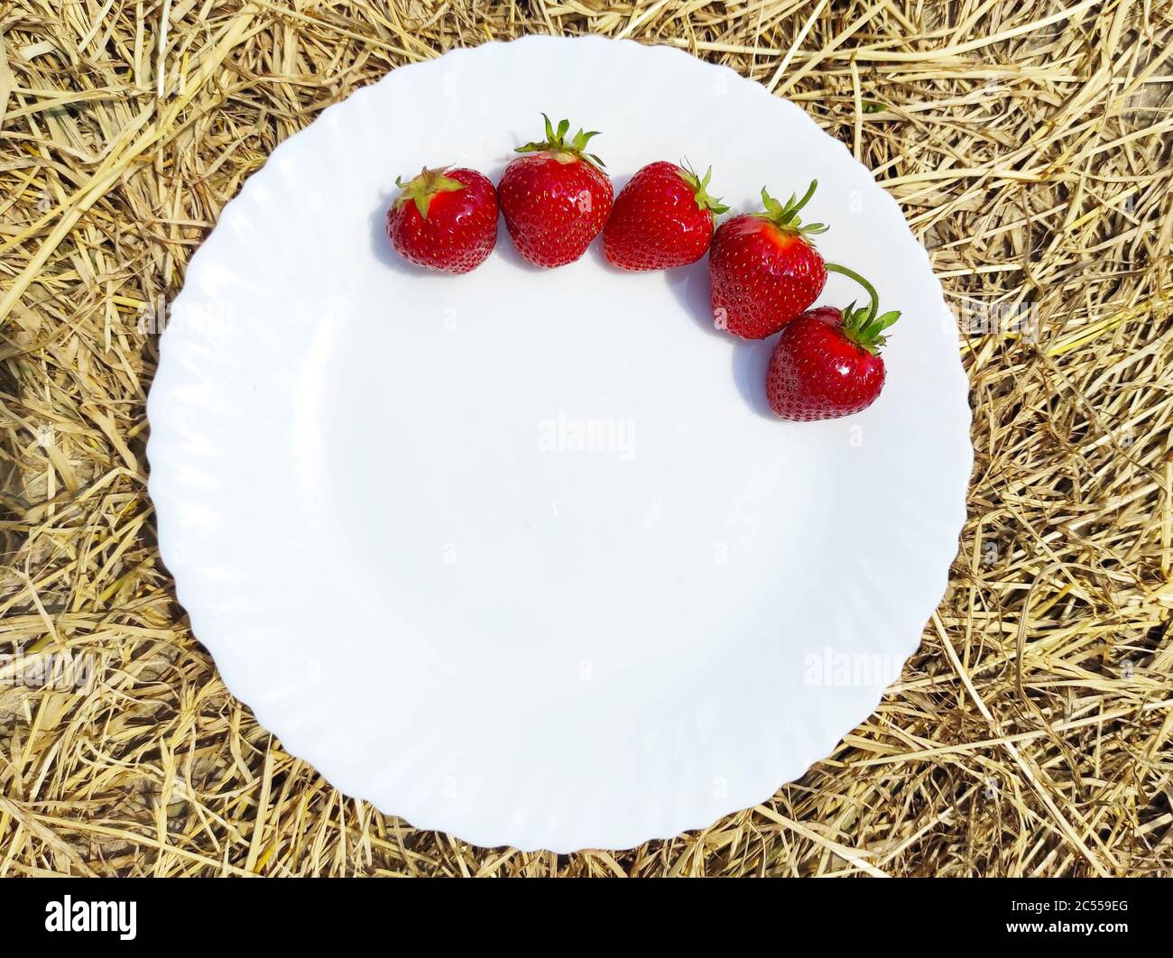 Wheat straw plate hi-res stock photography and images - Alamy