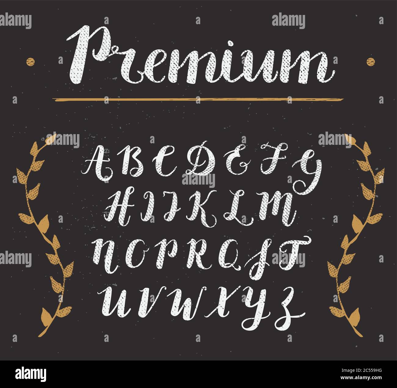 Vector Hand Drawn Script Alphabet. Letters Written with a Brush Pen with Ink Stock Vector Image ...