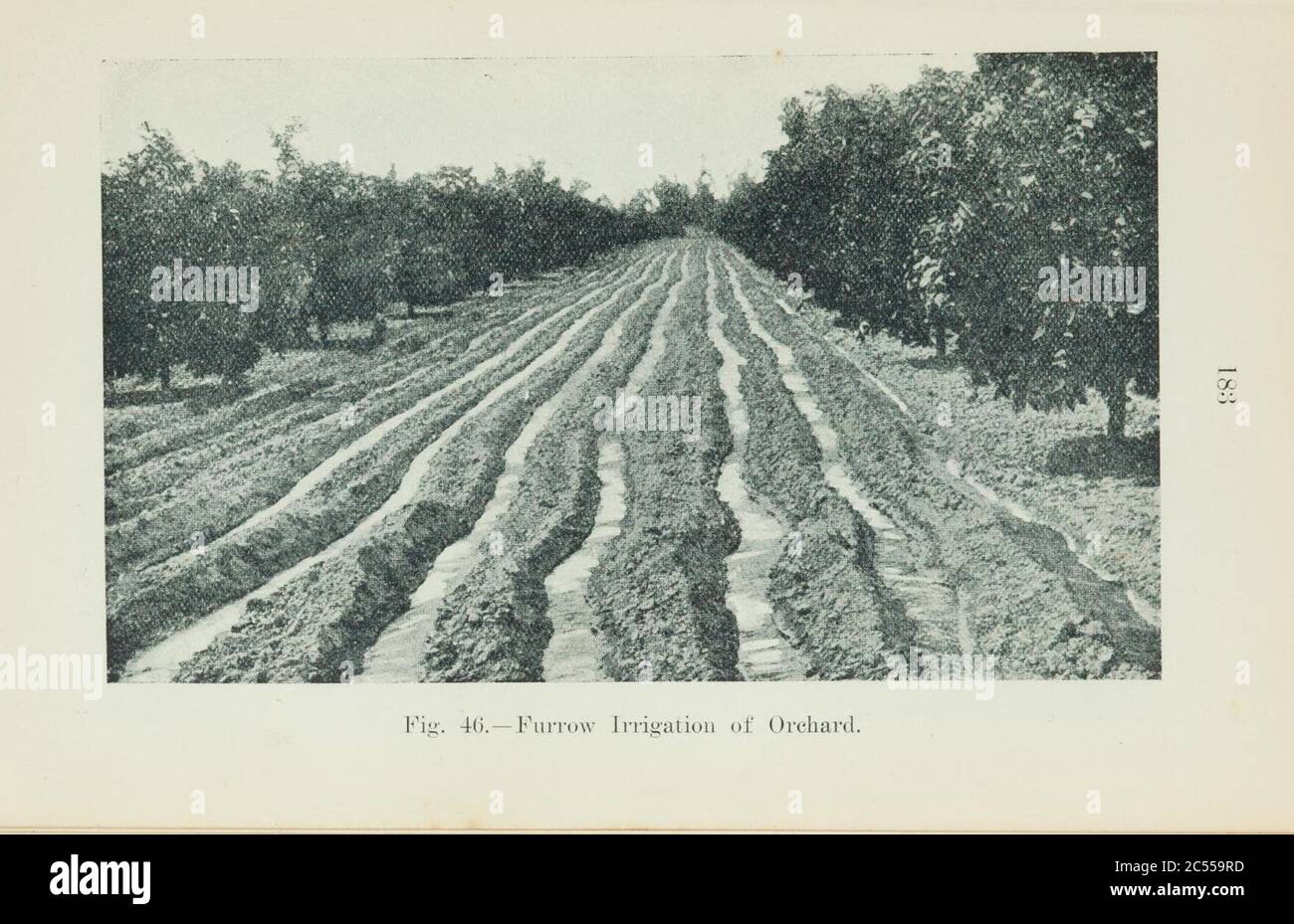 Irrigation with surface and subterranean waters and land drainage with ...