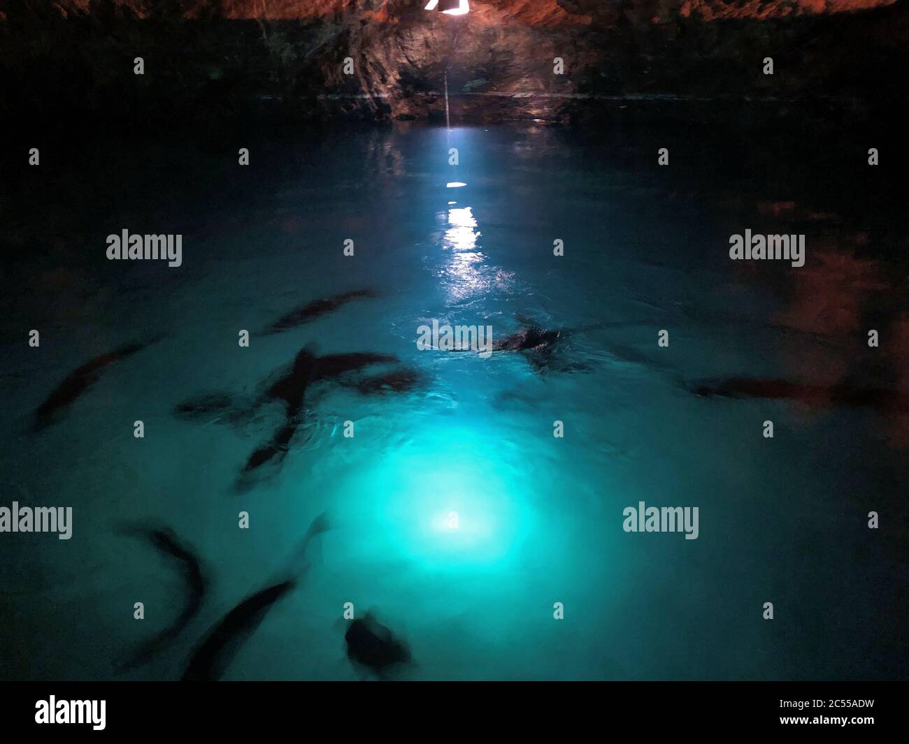 Cave swimming hi-res stock photography and images - Alamy