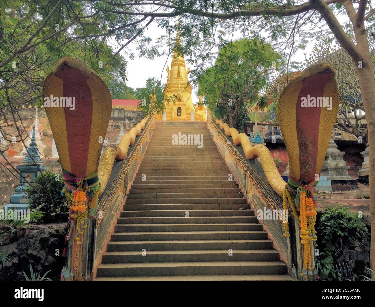 Stairs with snakes on each side leading up to a temple in Koh Samui ...