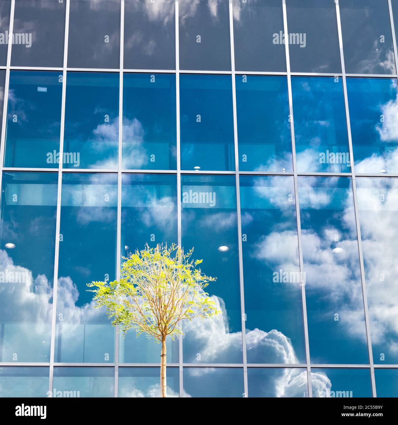 Minimalist house exterior germany hi-res stock photography and images ...