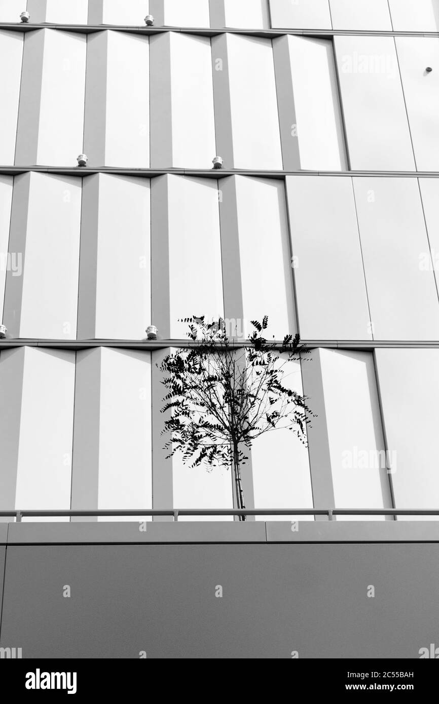 House facade, Verti Music Hall, facade, architecture, Mercedes Platz ...