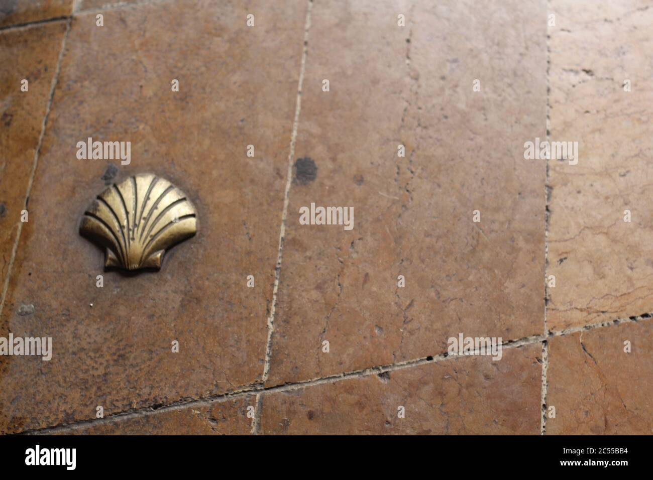 Closeup shot of the scallop shell, iconic symbols of the Camino de ...